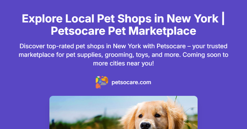 Explore Local Pet Shops in New York | Petsocare